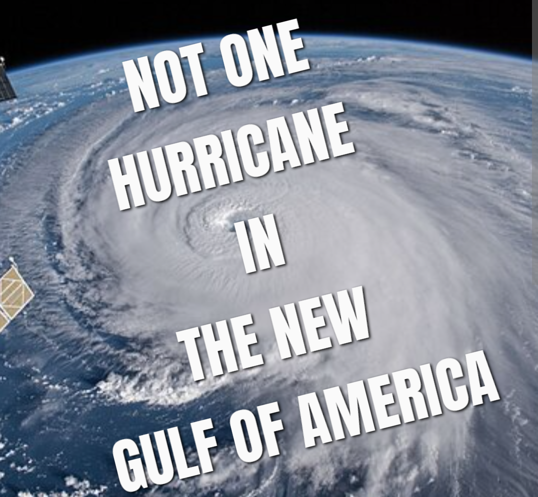 rQy Herman Kellerman on AnonUp.com